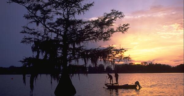 Lake Bruin State Park | Explore Louisiana